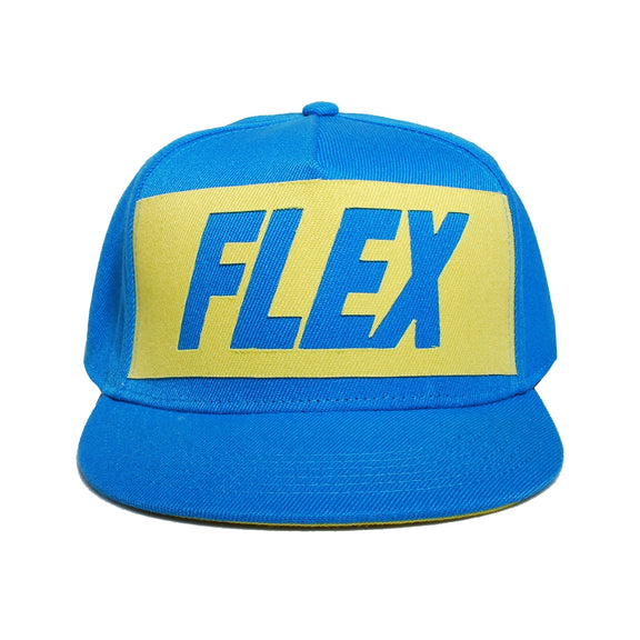 FLEX Custom Hat – Logic